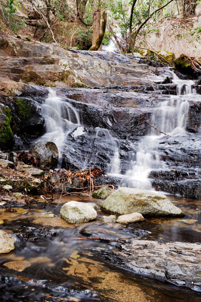 Sequoia National Park - Moro Rock Trail, Tunnel Log, Big Fern Springs ...